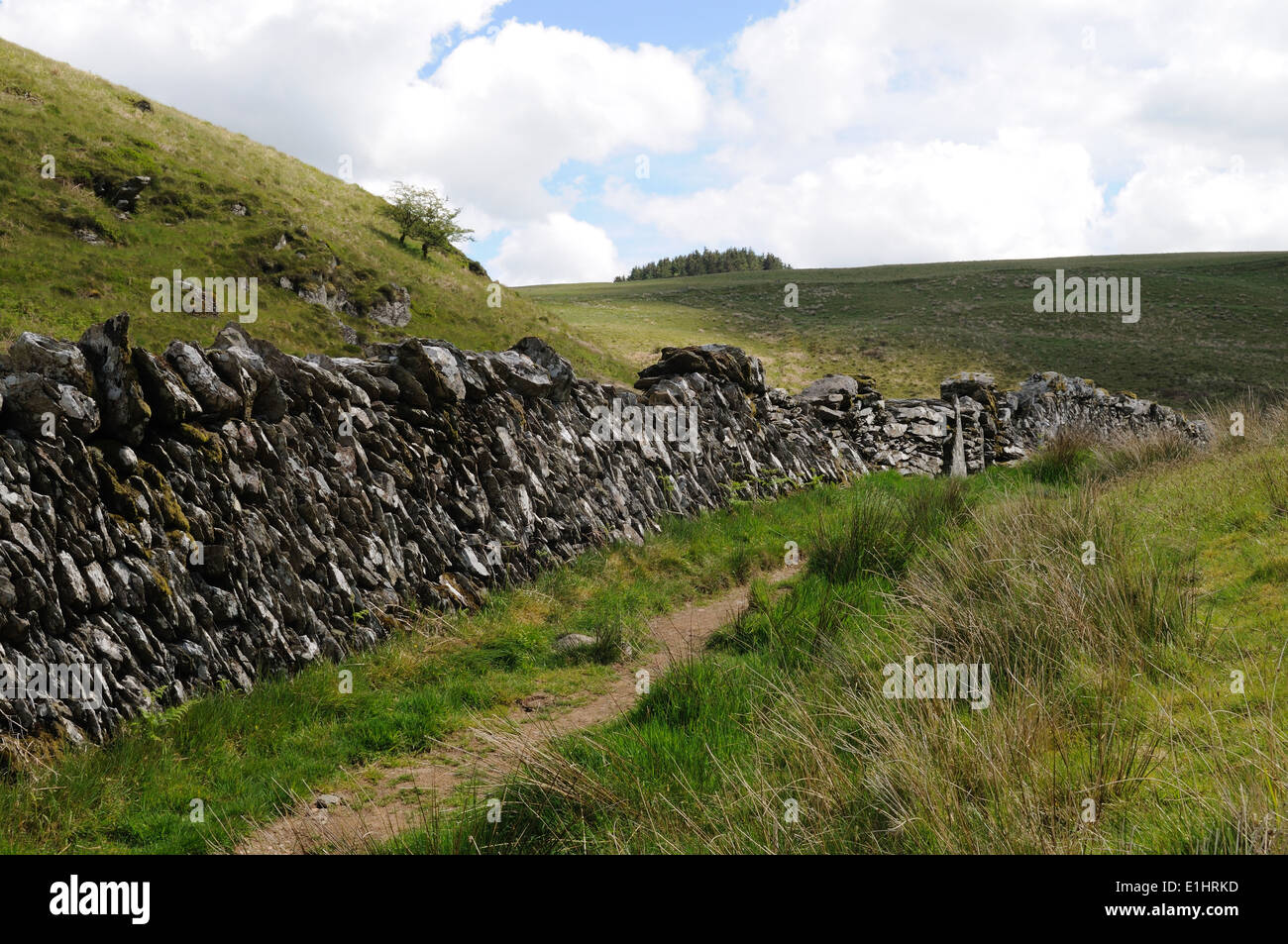 Devon dry stone walls hi-res stock photography and images - Alamy