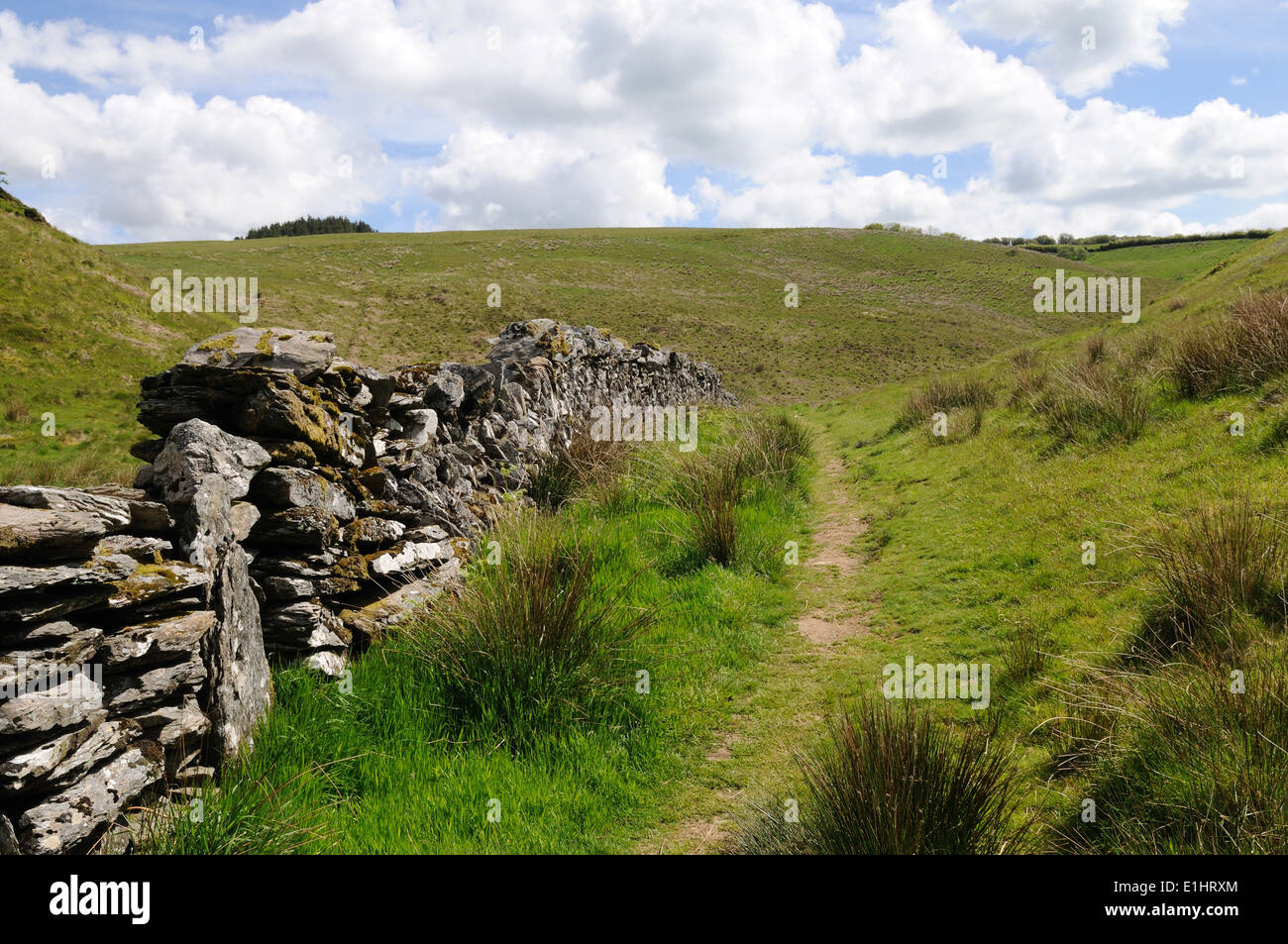 Old dry stone wall on walk near Simonsbath Exmoor National Park Devon ...