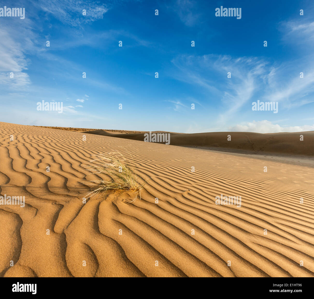 Dunes of Thar Desert, Rajasthan, India Stock Photo - Alamy
