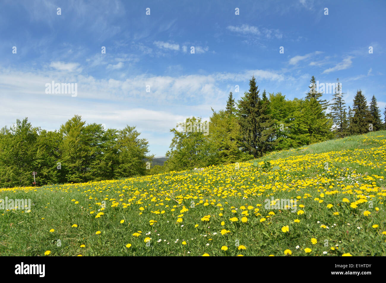 Mountain landscape, spring landscape Stock Photo - Alamy
