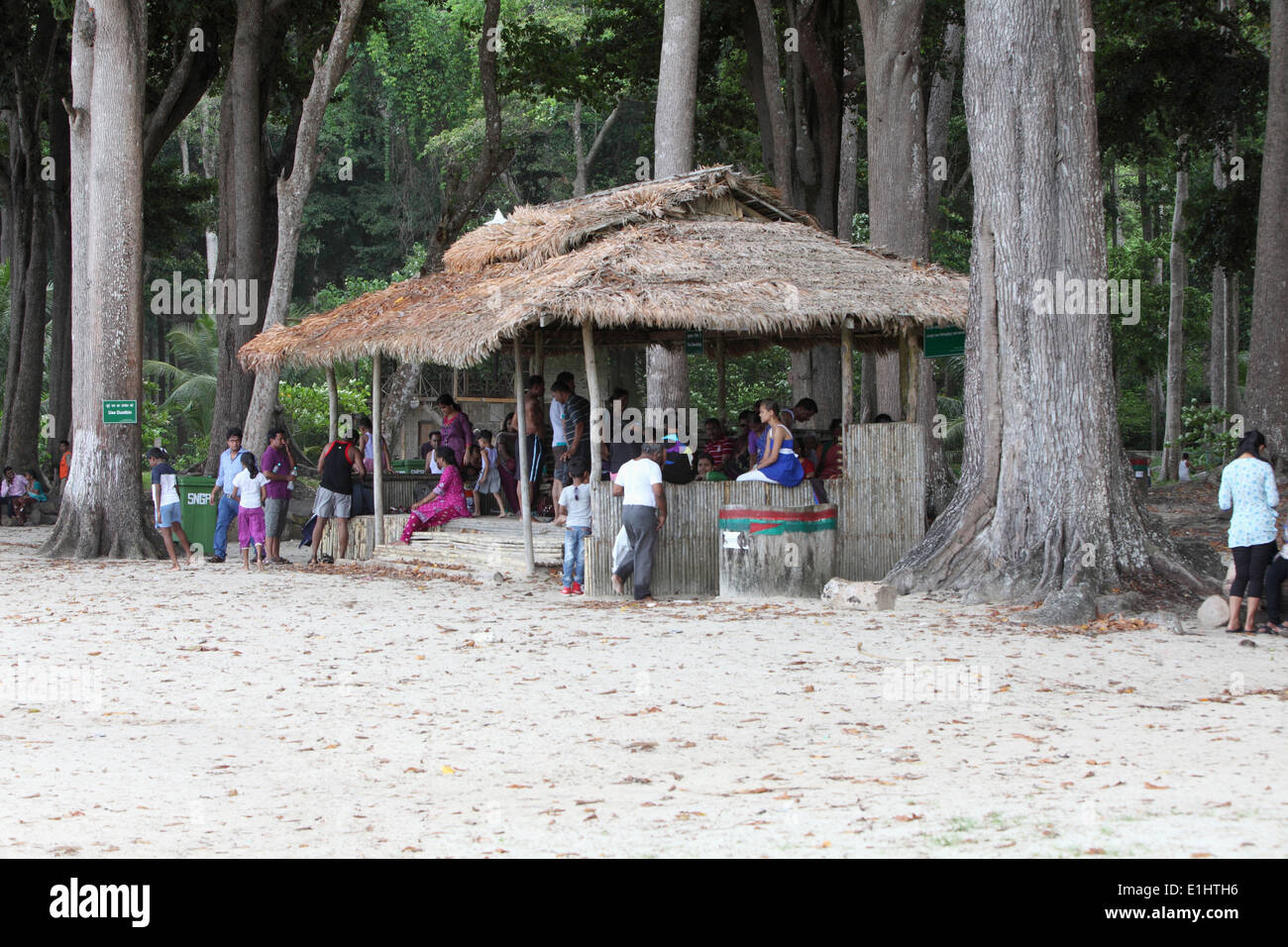Resting hut near Radhanagari beach, Andaman, India Stock Photo - Alamy