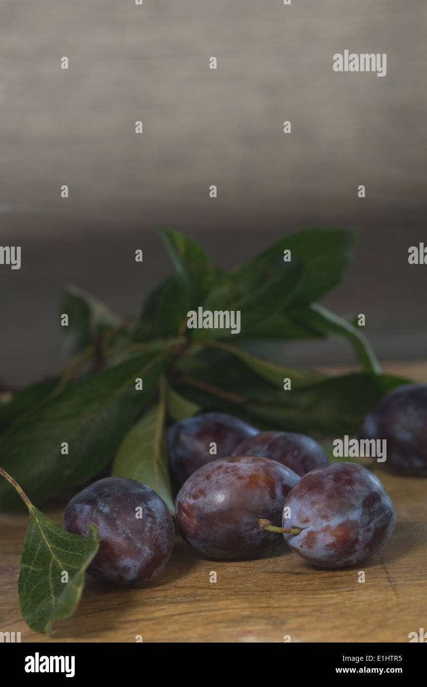 Plums, Prunus domestica, and leaves Stock Photo - Alamy