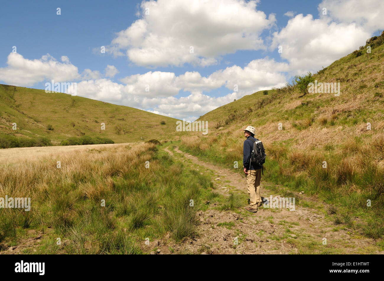 Exmoor national park walking hi-res stock photography and images - Alamy