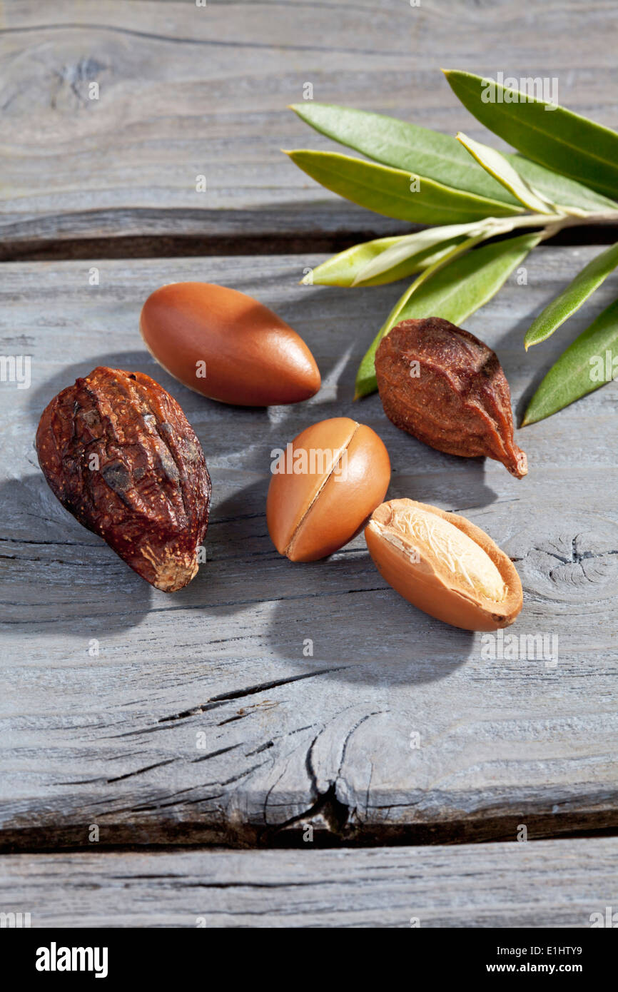 Argan tree hi-res stock photography and images - Alamy