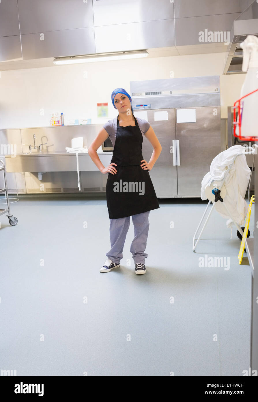 Cleaning woman standing in kitchen Stock Photo - Alamy