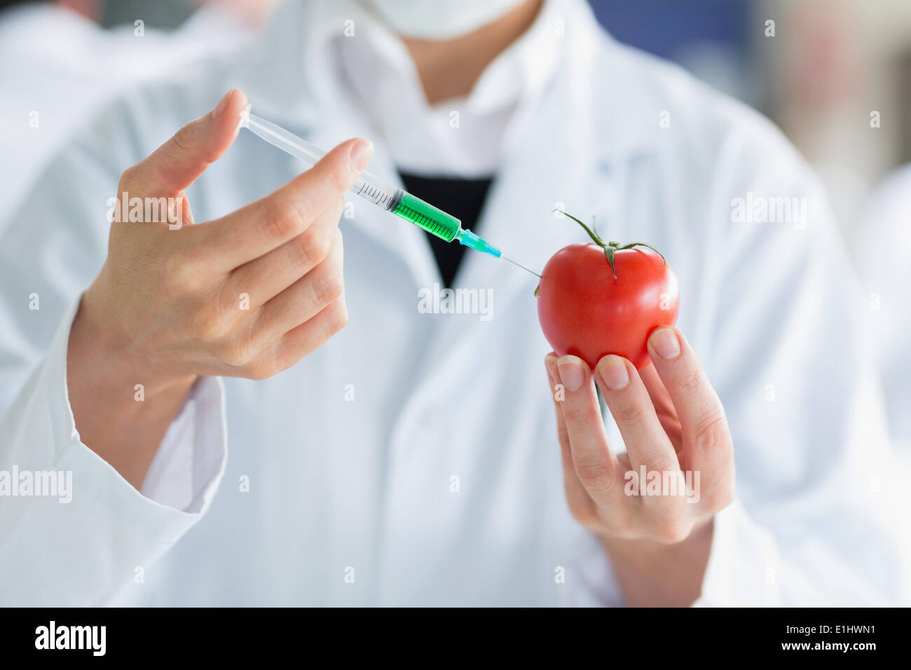 Scientist injecting a tomato Stock Photo - Alamy
