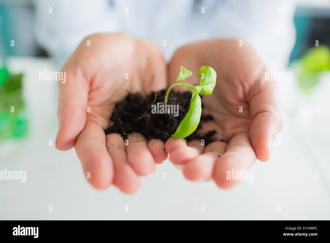 Man holding a little plant Stock Photo - Alamy