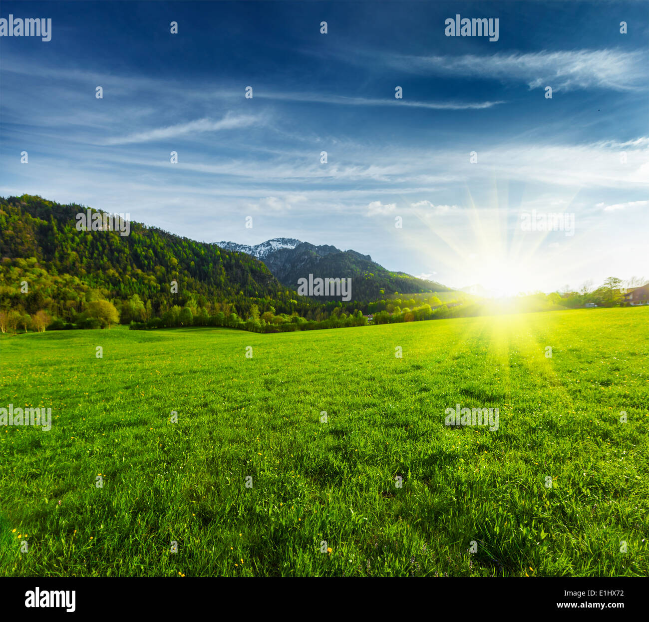 Alpine meadow in Bavarian Alps on sunrise. Bavaria, Germany Stock Photo ...