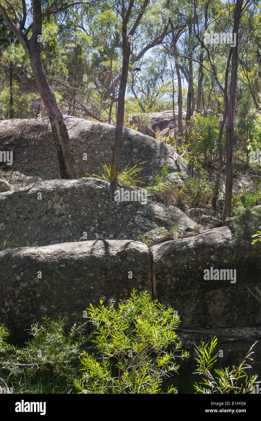 Granite Rocks in Girraween National Park, Queensland, Australia Stock ...