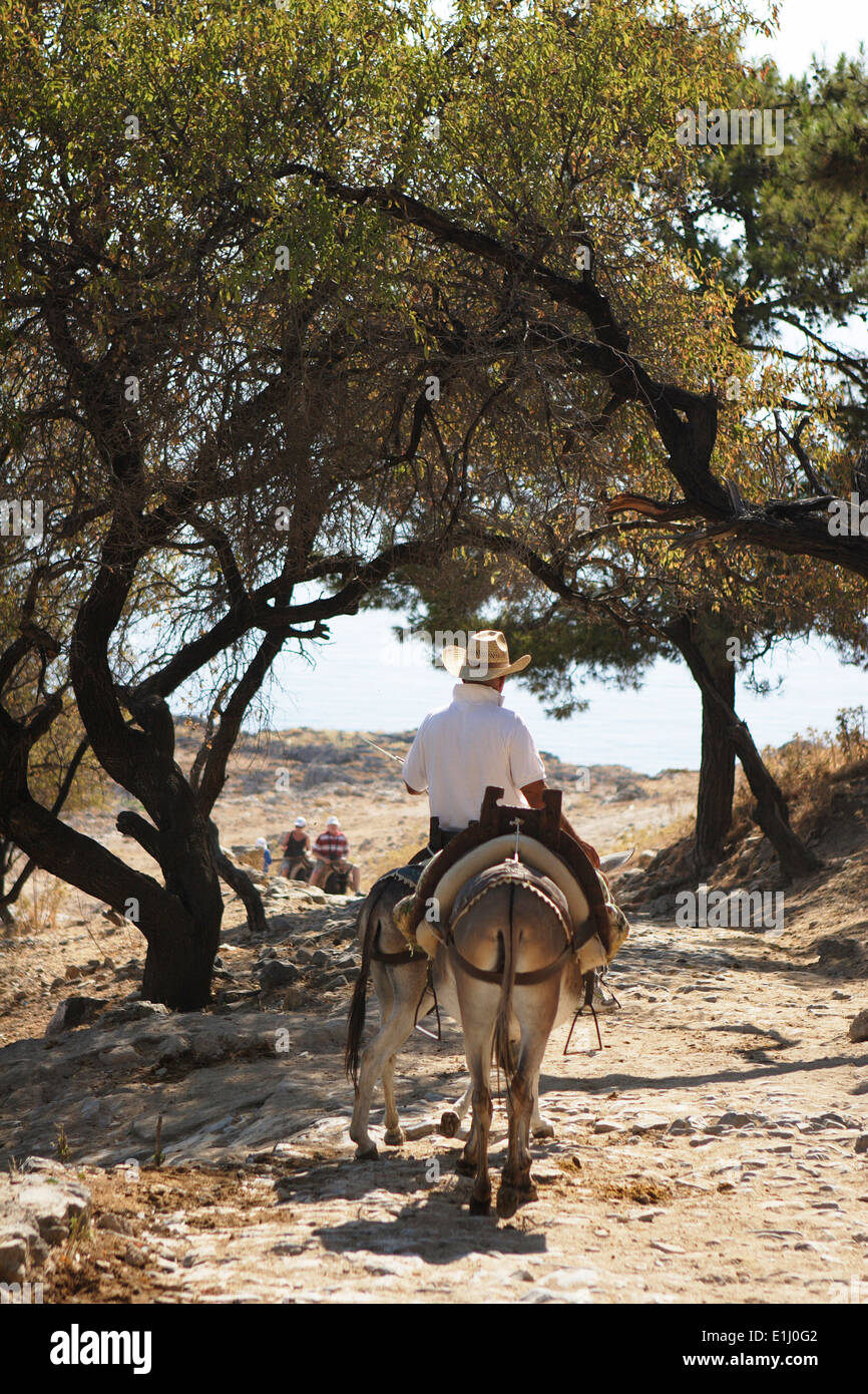 Riding donkeys through the Greek countryside, Lindos, Rhodes, Rhodes ...