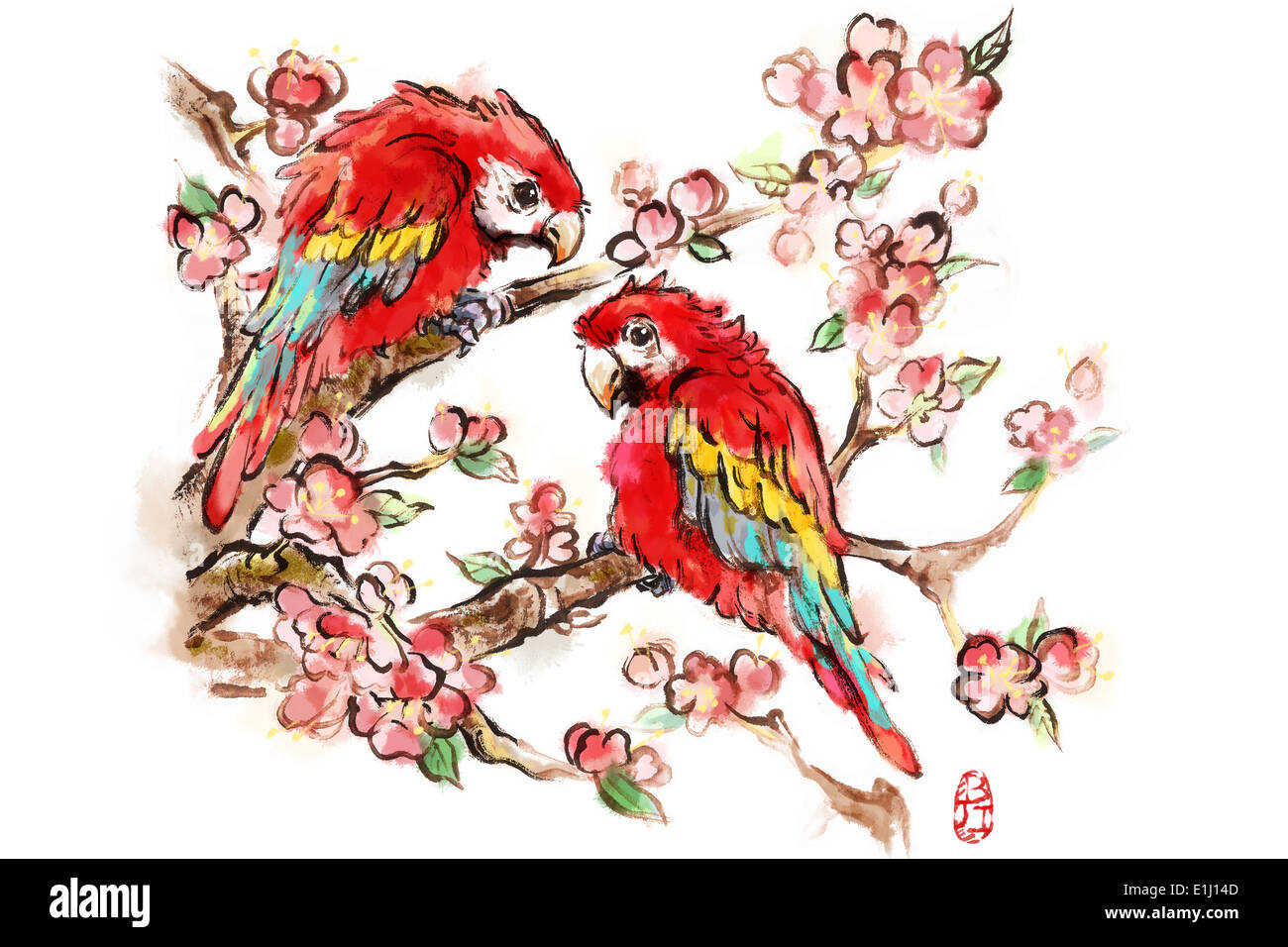 Red chinese parrot hi-res stock photography and images - Alamy
