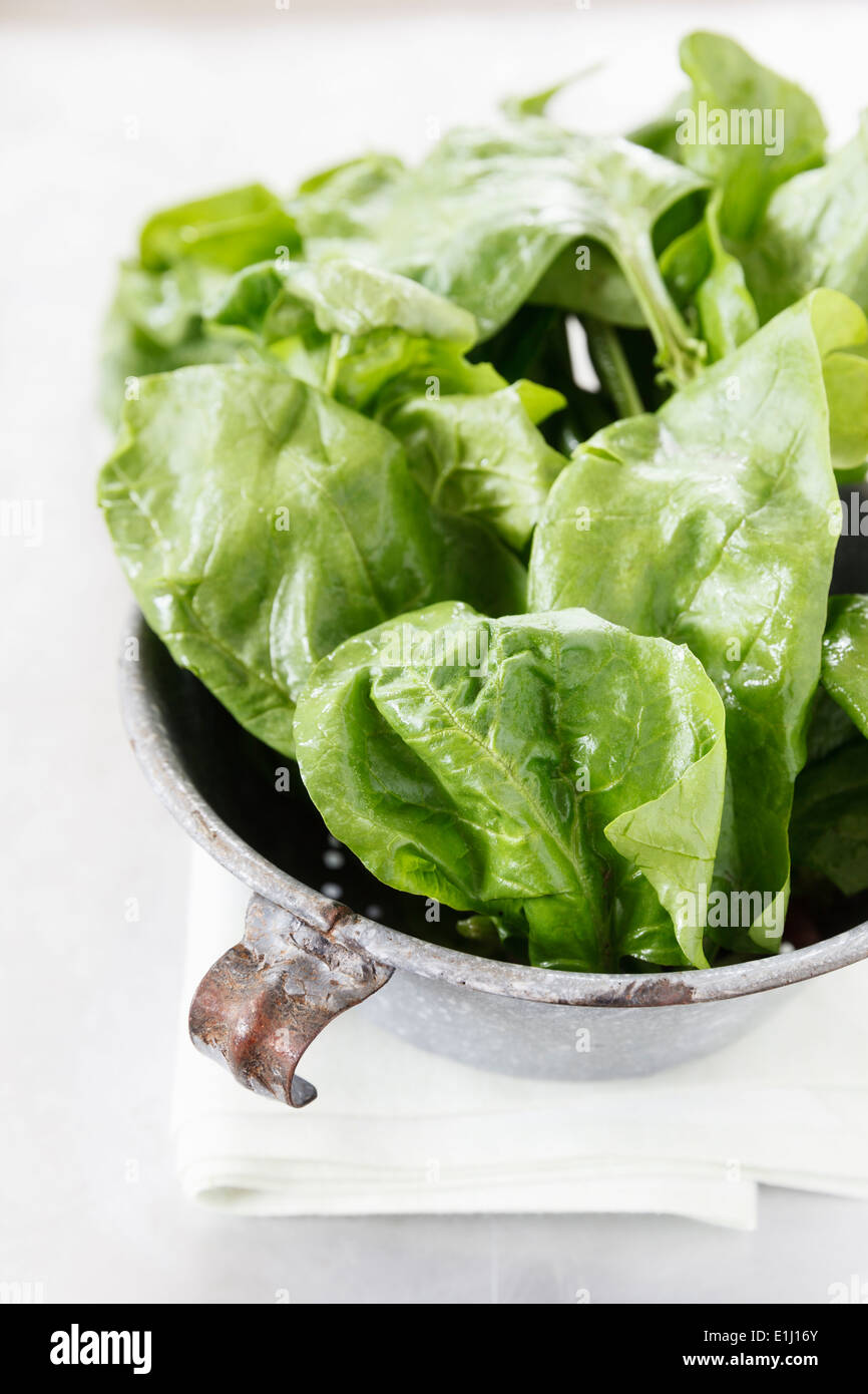 Metal bowl of fresh spinach Stock Photo - Alamy