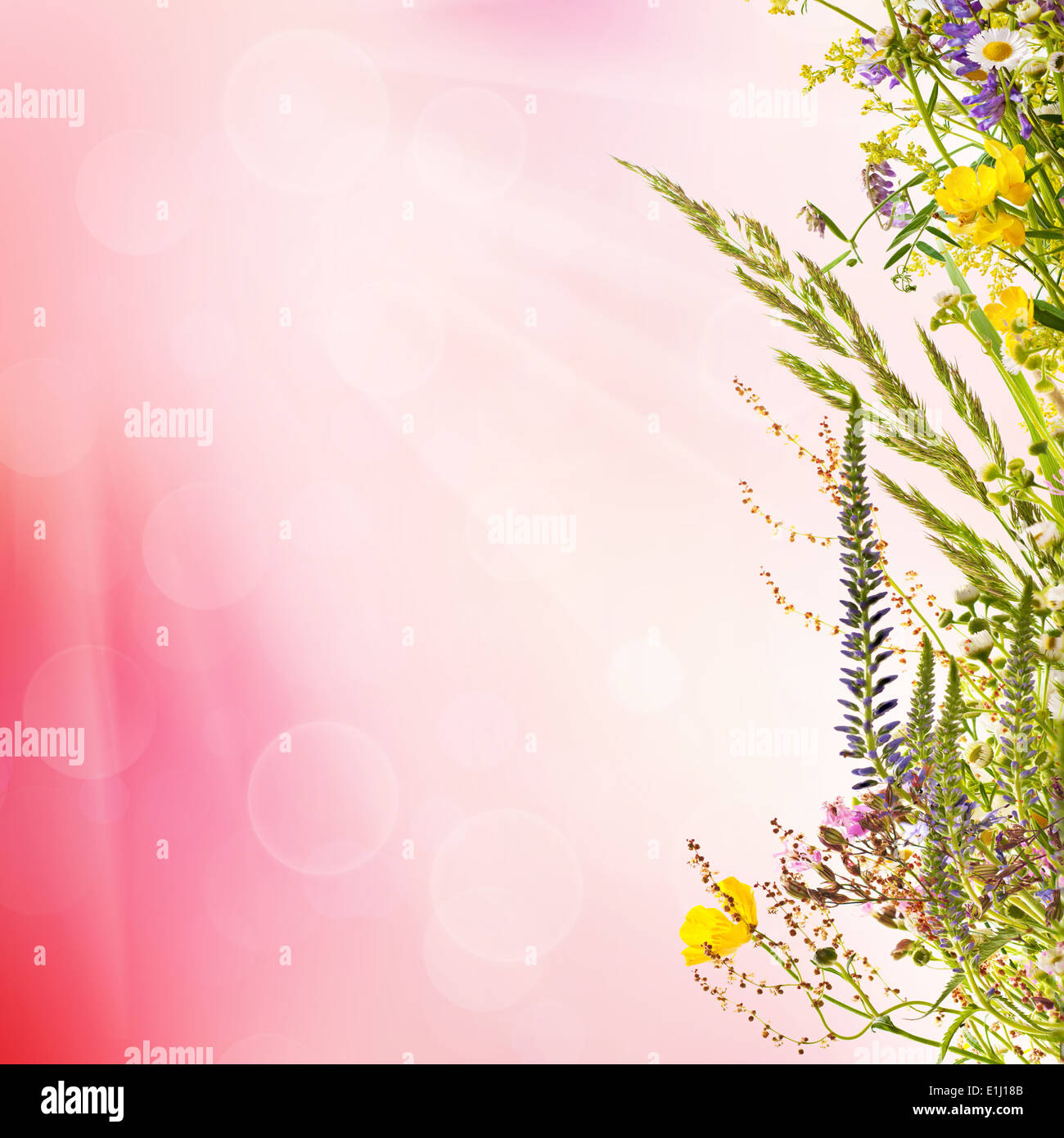 Floral easter background Stock Photo - Alamy