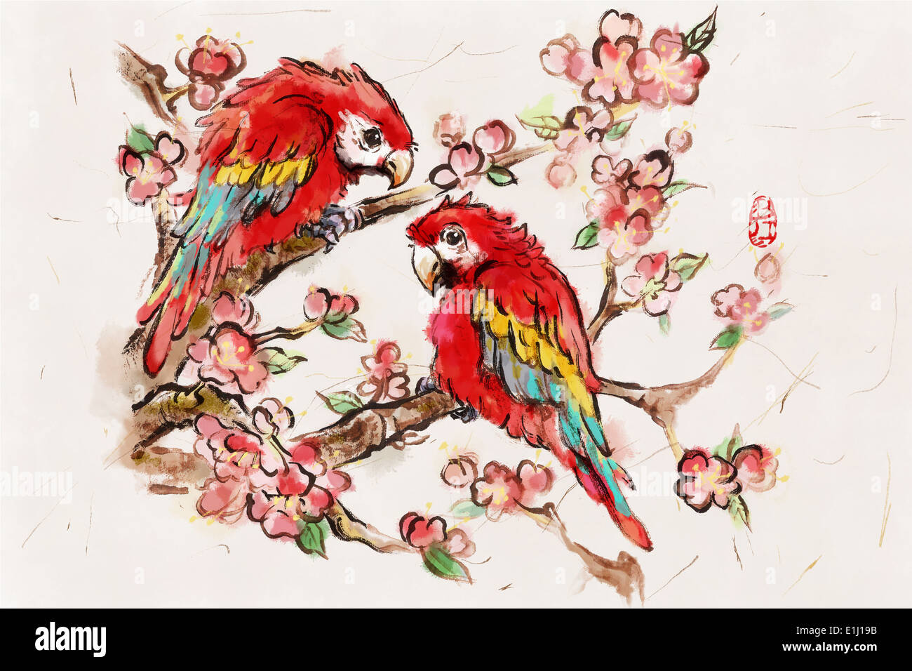 Red chinese parrot hi-res stock photography and images - Alamy