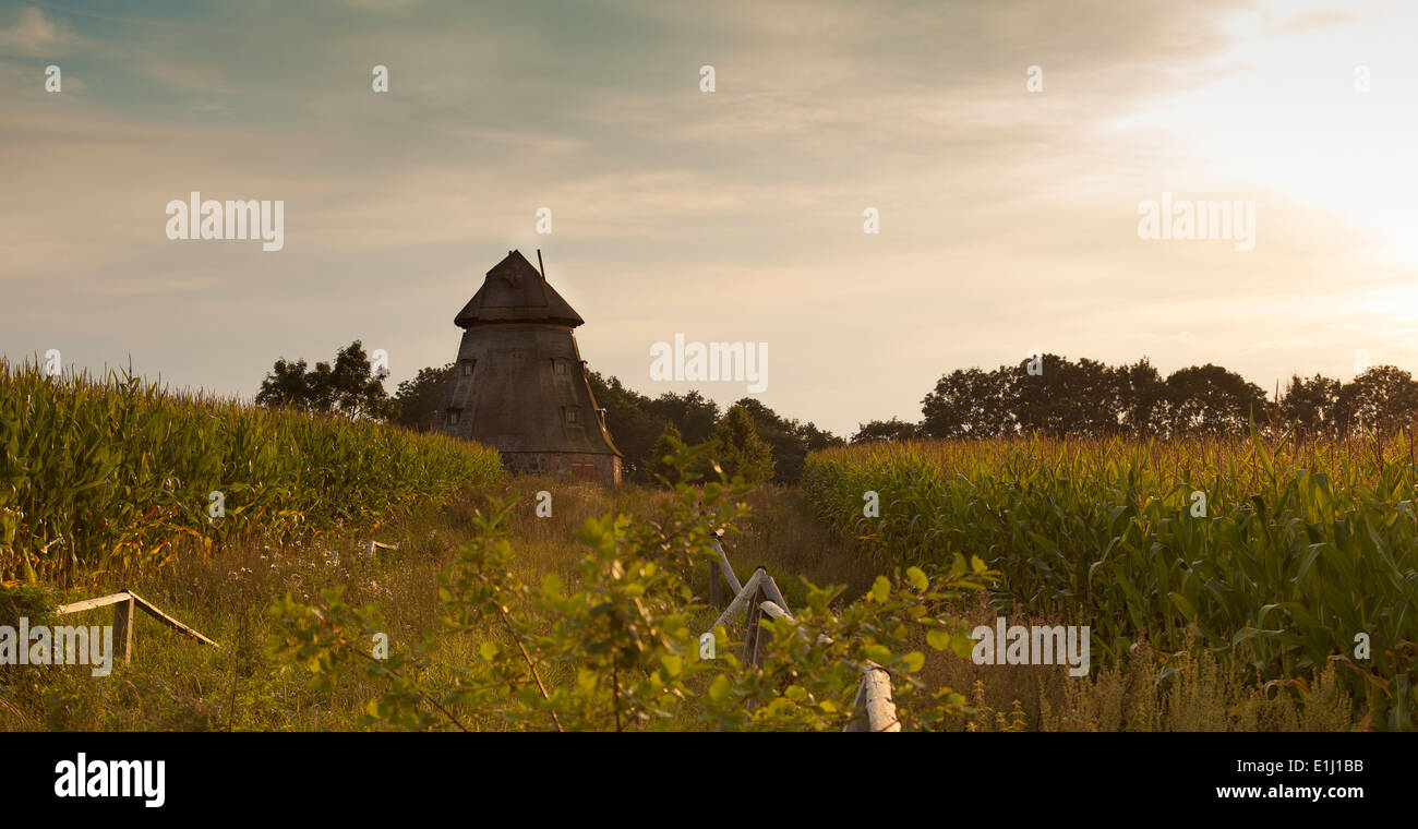 Maize mill hi-res stock photography and images - Alamy