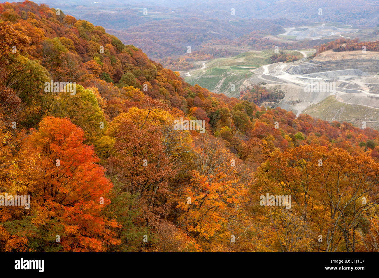 Autumn forest by mountaintop removal site, Appalachia, Wise County ...