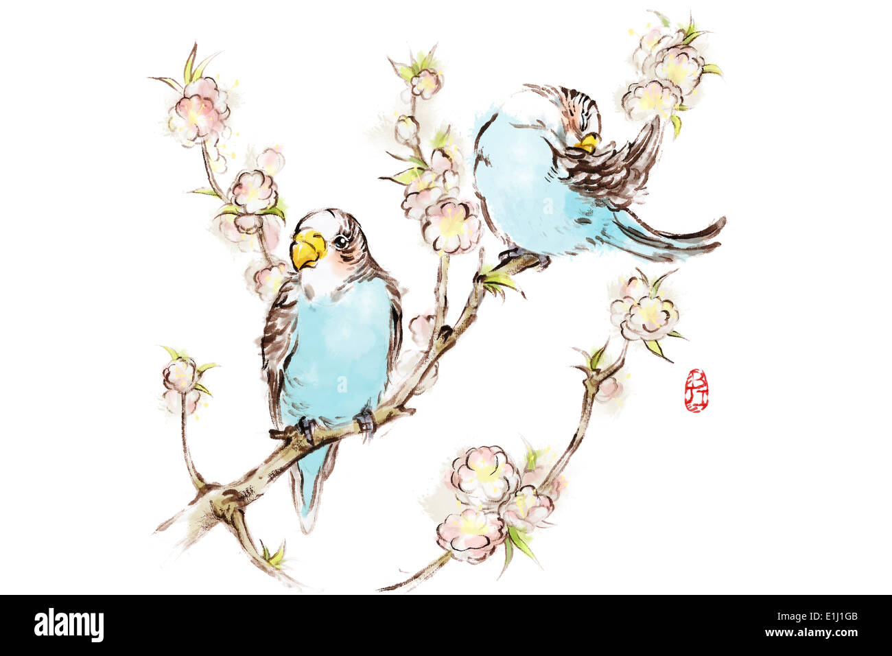 Chinese parrots hi-res stock photography and images - Alamy