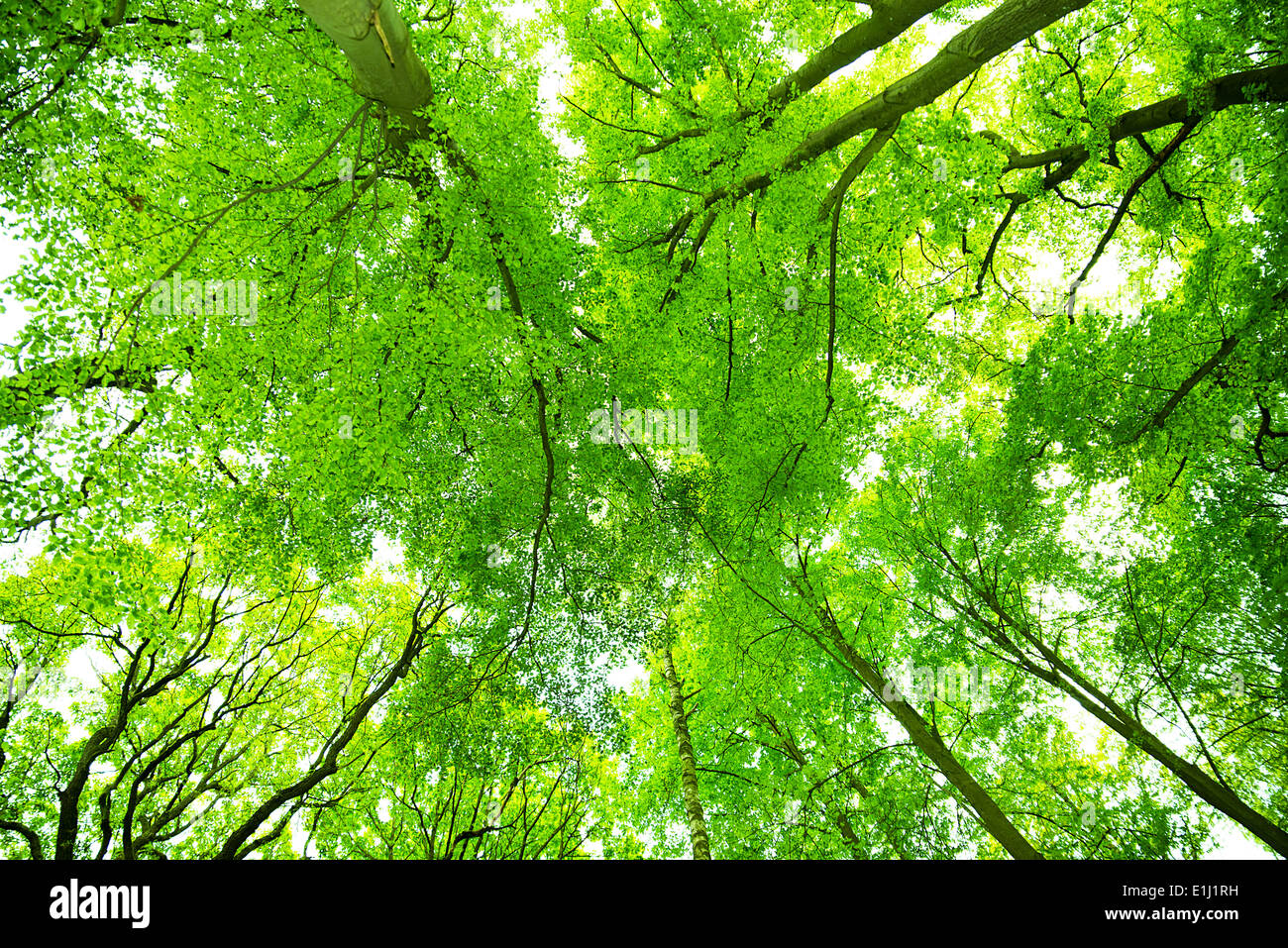 Overhead shot hi-res stock photography and images - Alamy