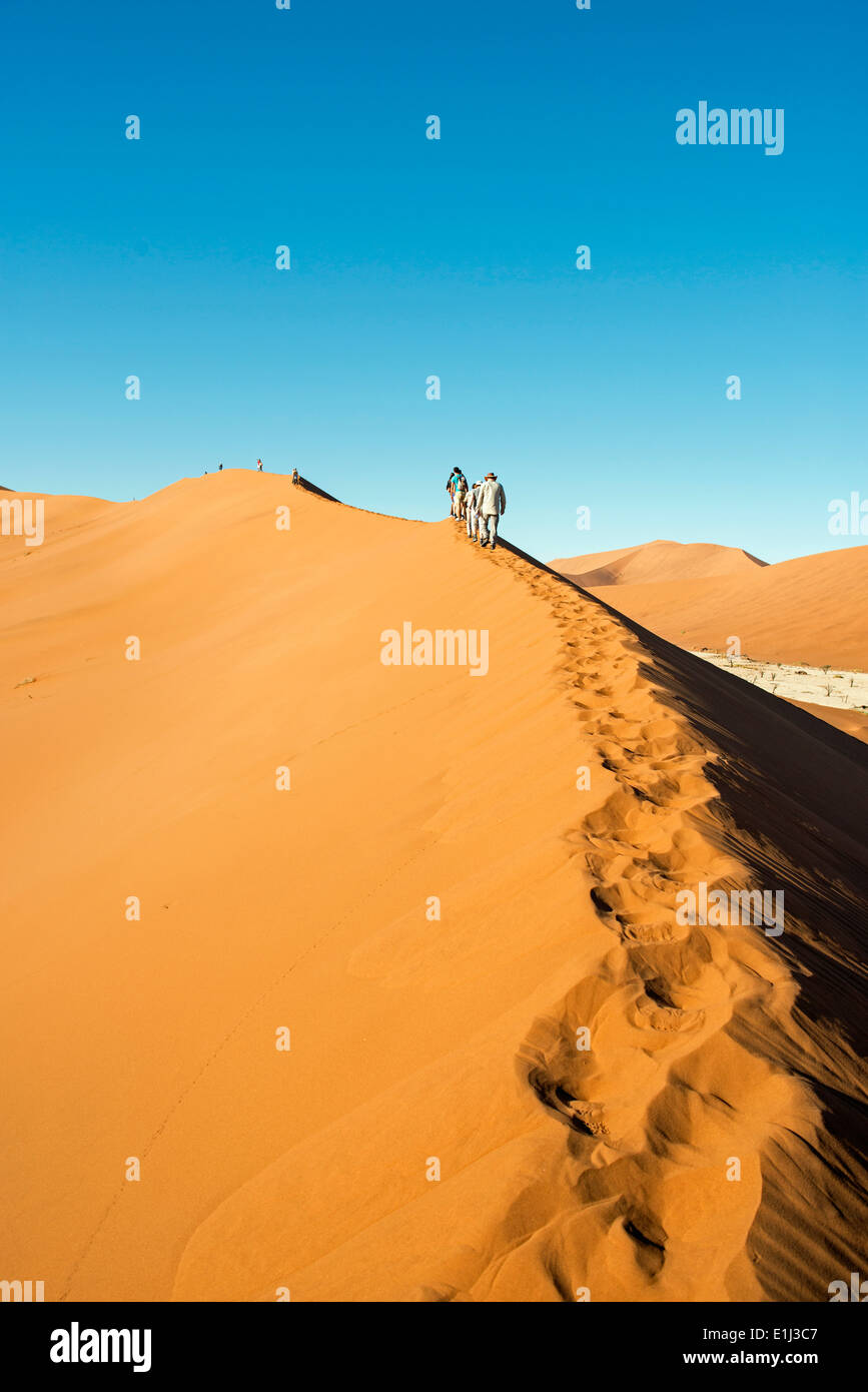 Africa, Namibia, Sossusvlei, Group of people hiking in the sand dunes ...