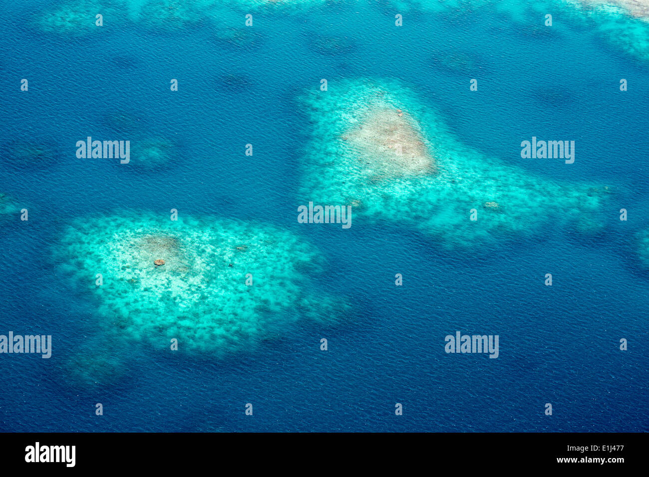 Oceania, Palau, Pacific Ocean, Coral reef Stock Photo - Alamy