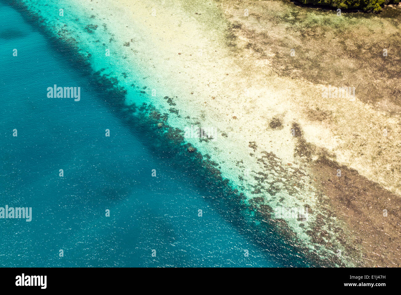 Oceania, Palau, Pacific Ocean, Coral reef Stock Photo - Alamy