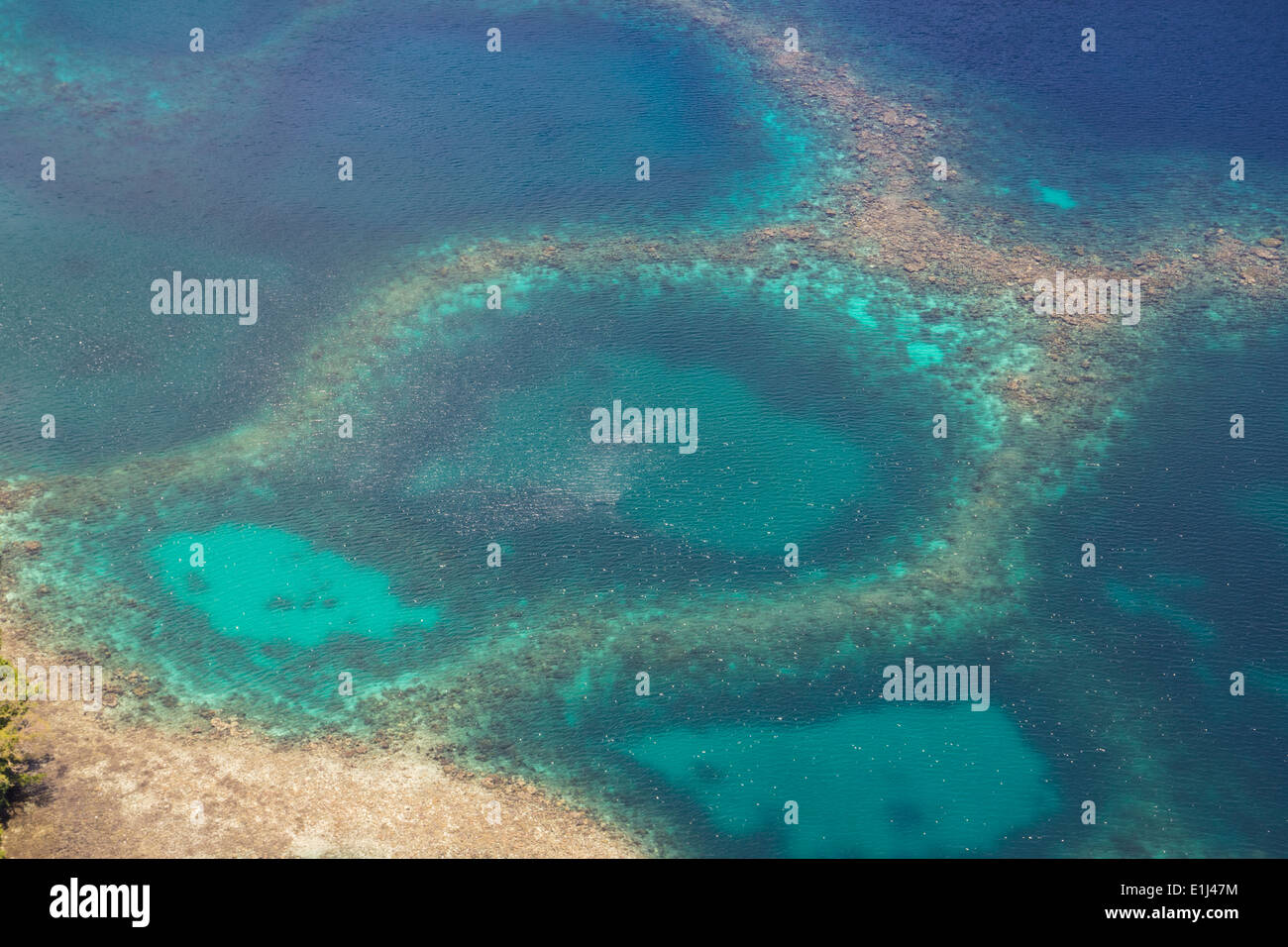 Oceania, Palau, Pacific Ocean, Coral reef Stock Photo - Alamy