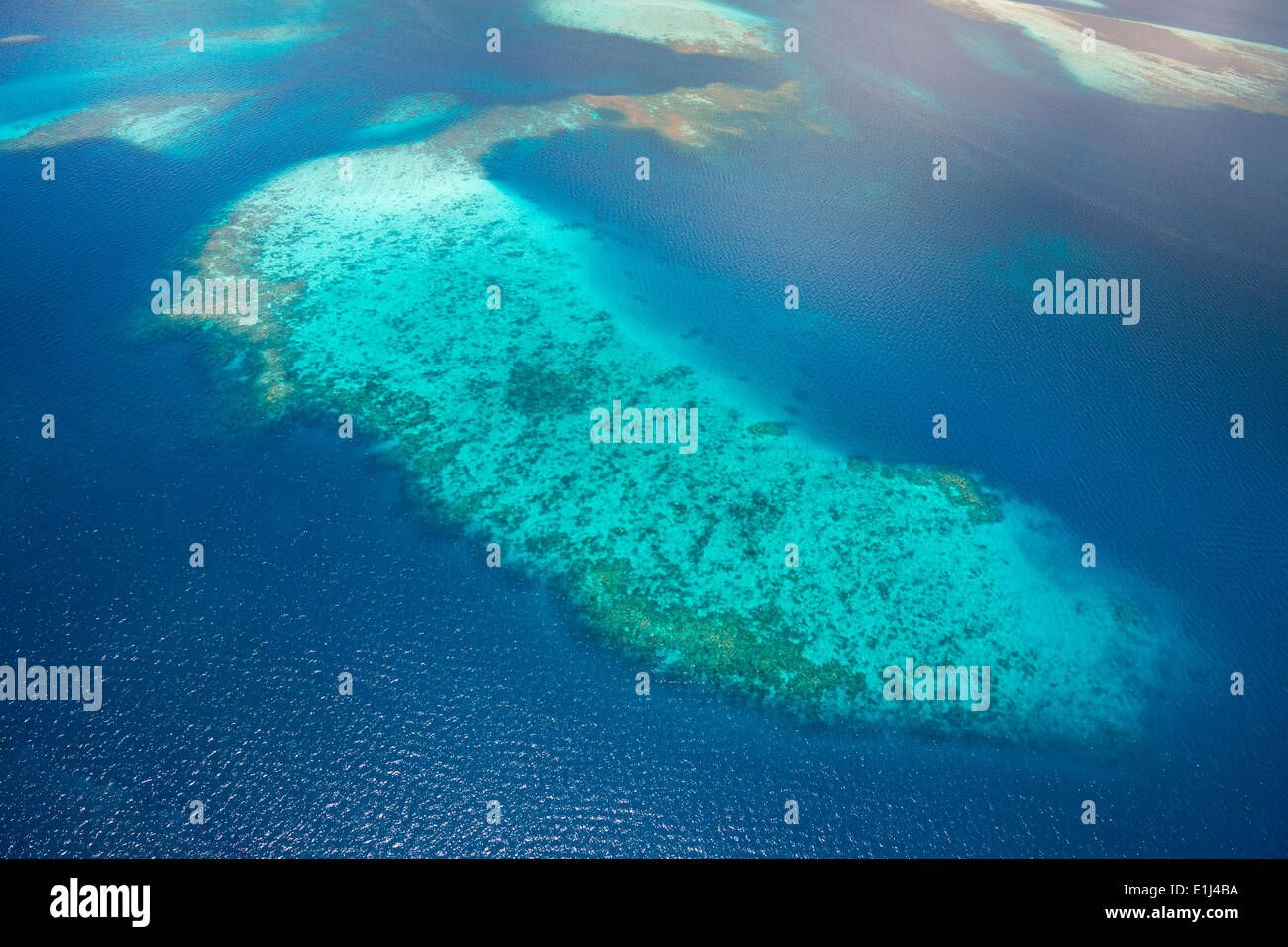 Oceania, Palau, Pacific Ocean, Coral reef Stock Photo - Alamy