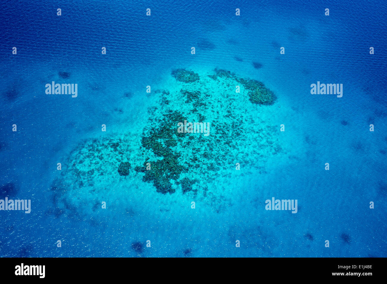 Oceania, Palau, Pacific Ocean, Coral reef Stock Photo - Alamy