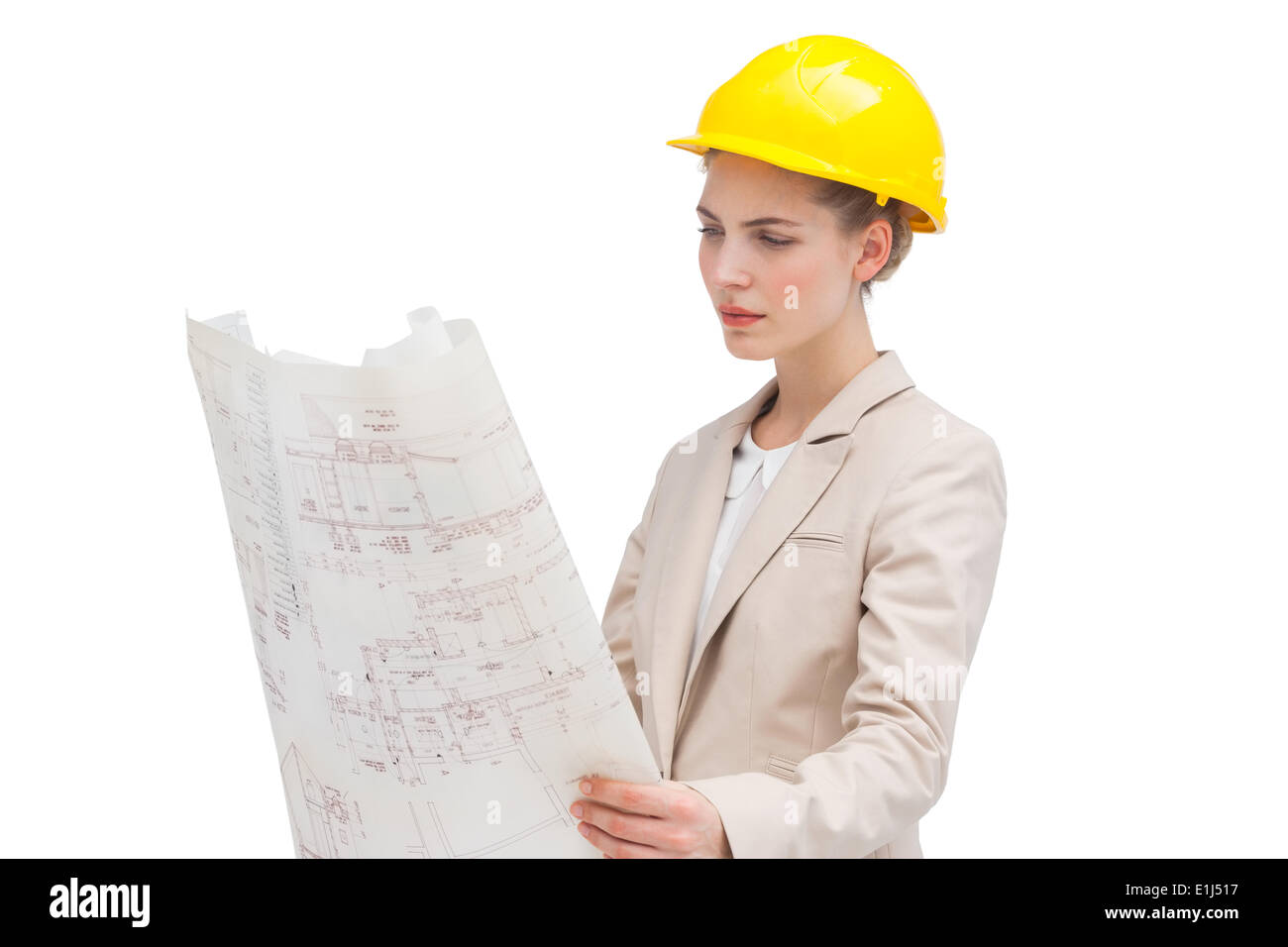 Pretty architect examining construction plan Stock Photo - Alamy