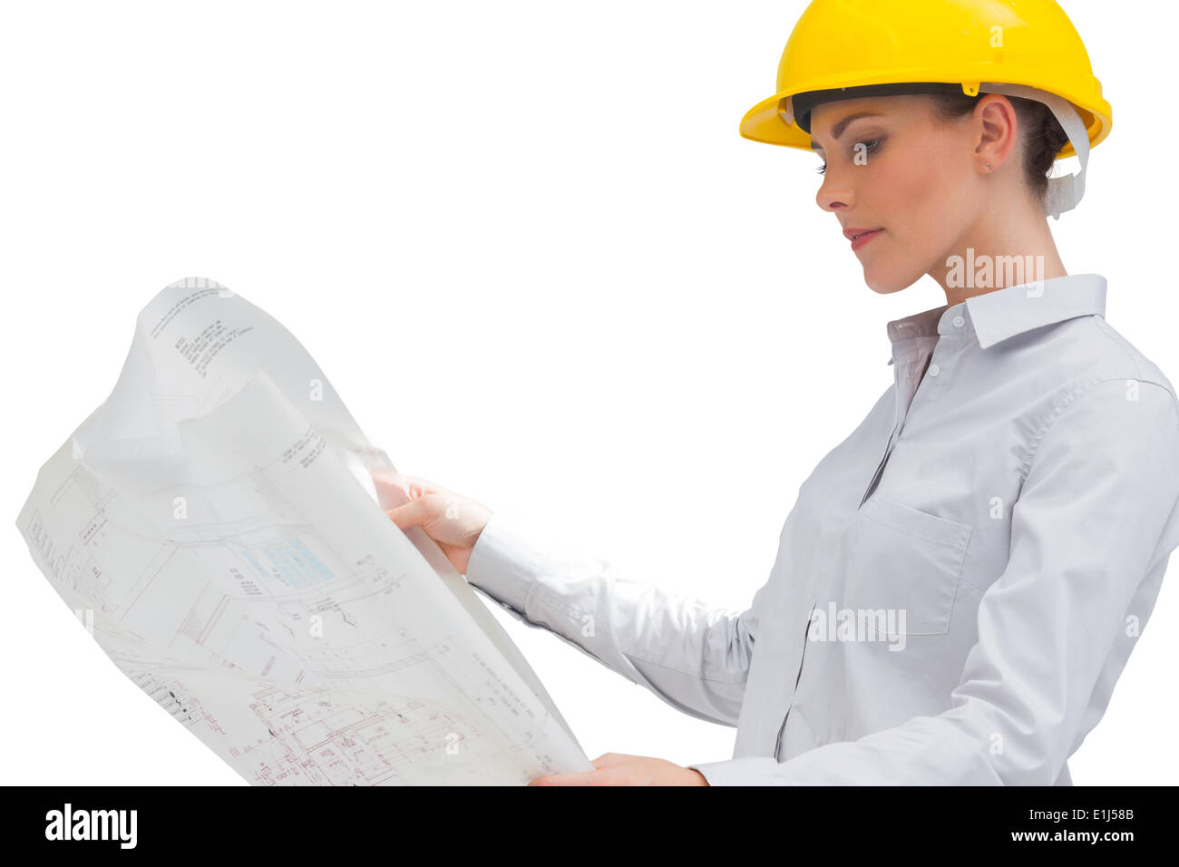 Reading a plan hi-res stock photography and images - Alamy