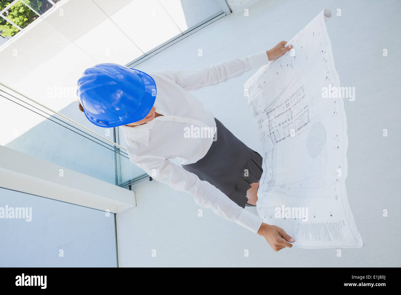 Overhead of an architect holding a blueprint Stock Photo - Alamy