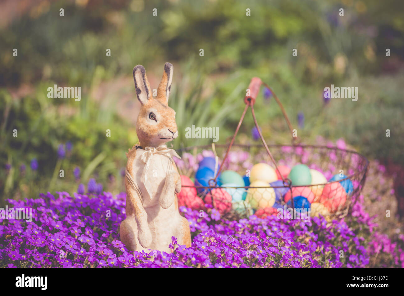 Easter bunny in garden with flowers Stock Photo - Alamy
