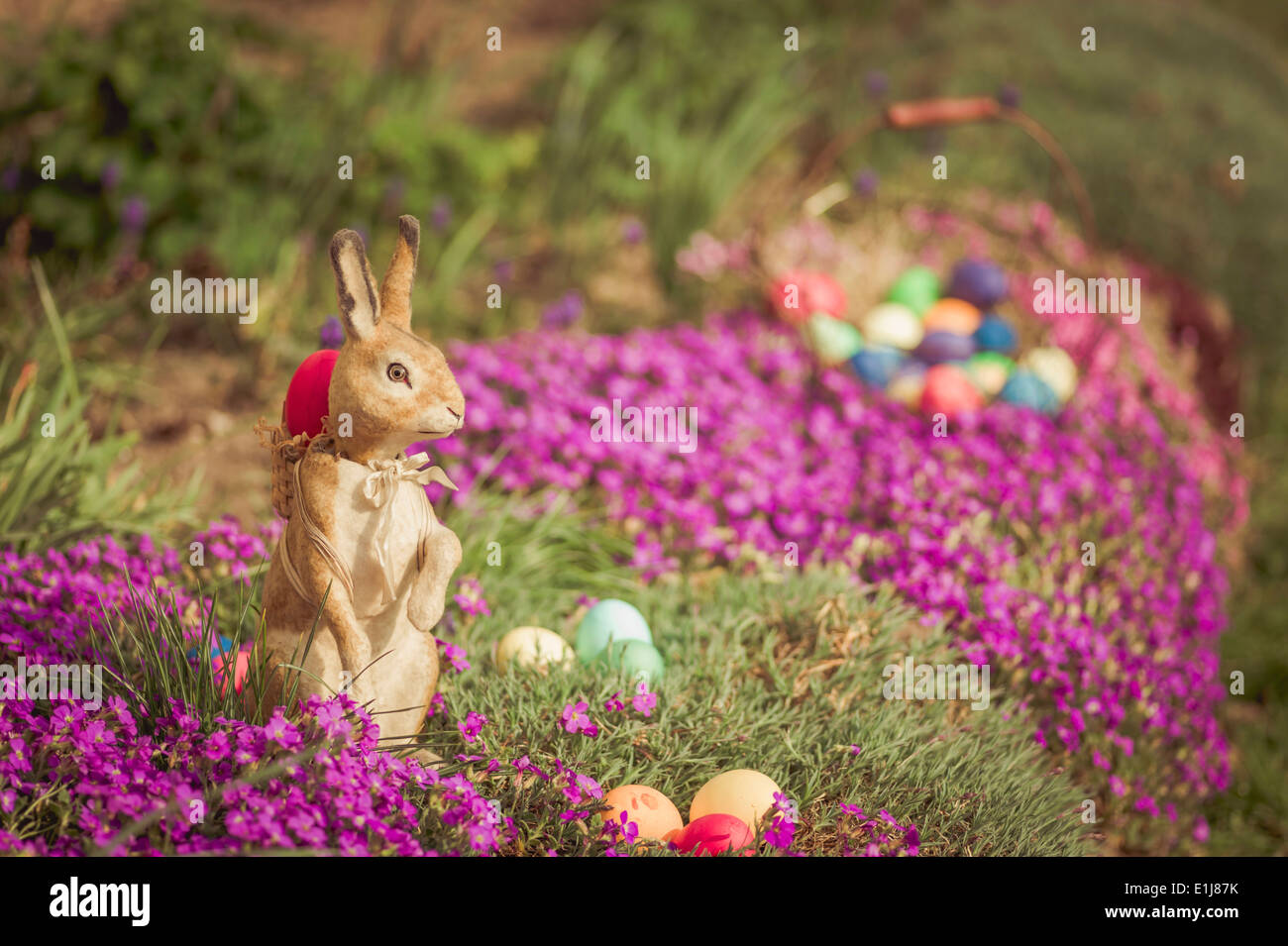 Easter bunny in garden with flowers Stock Photo - Alamy