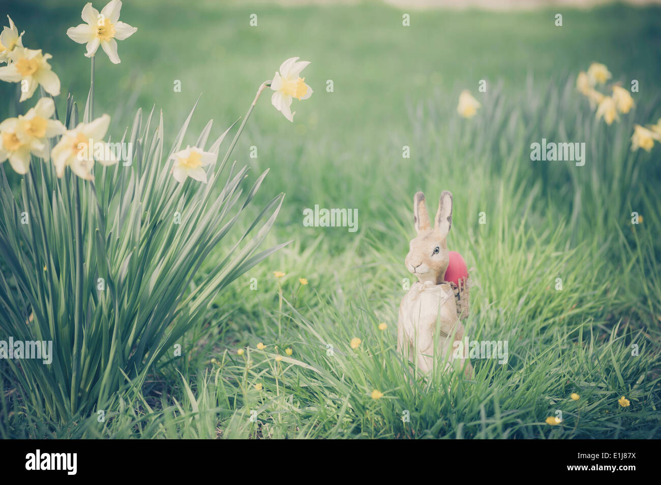 Easter bunny in garden Stock Photo - Alamy