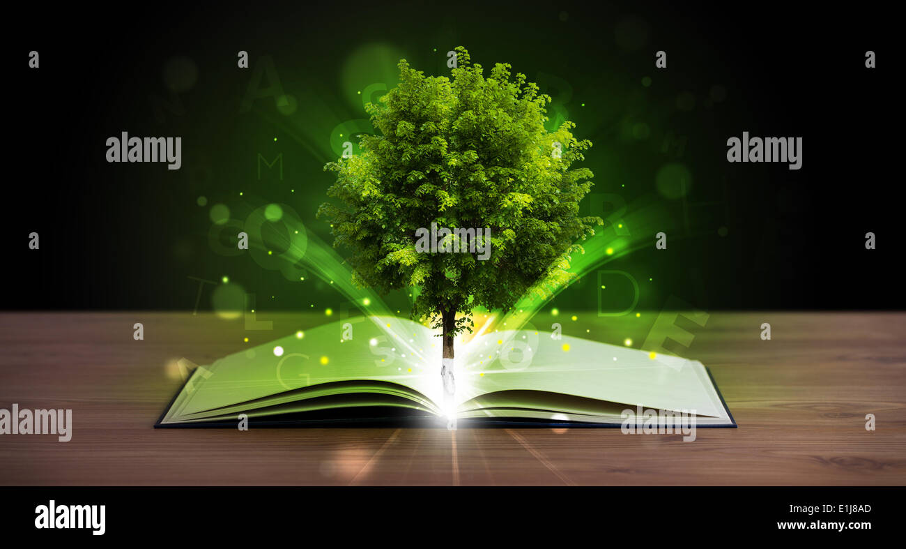Open book with magical green tree and rays of light Stock Photo - Alamy