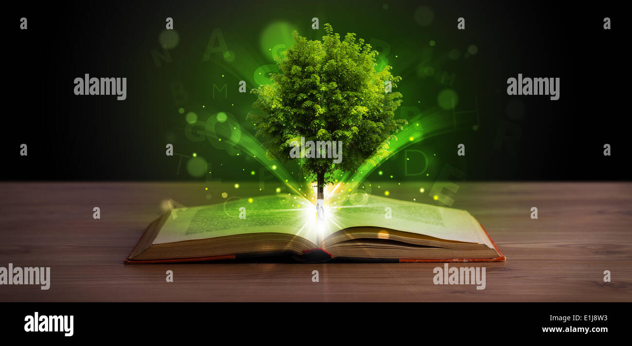 Open book with magical green tree and rays of light Stock Photo - Alamy