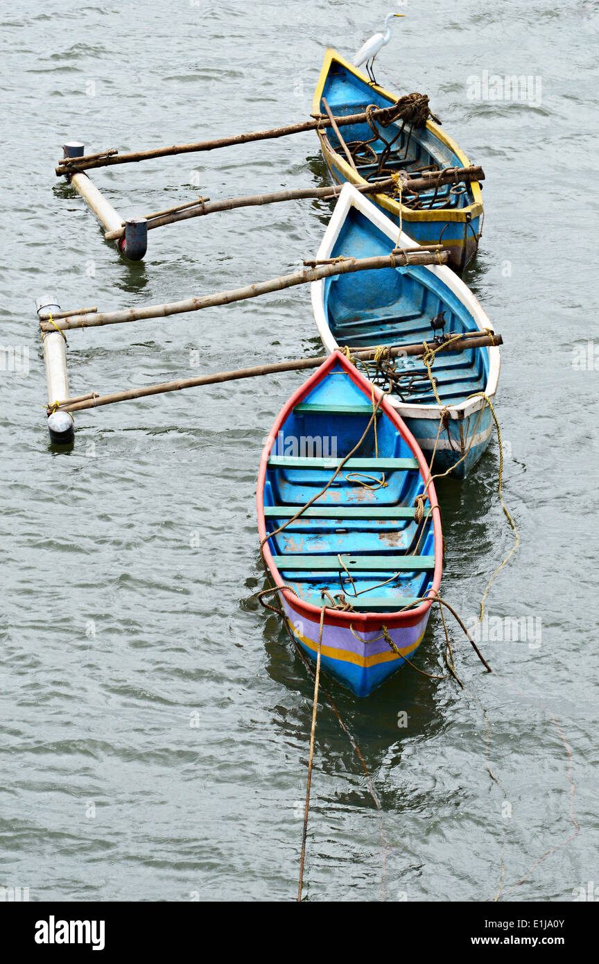 Boats in the river, Goa, India Stock Photo - Alamy