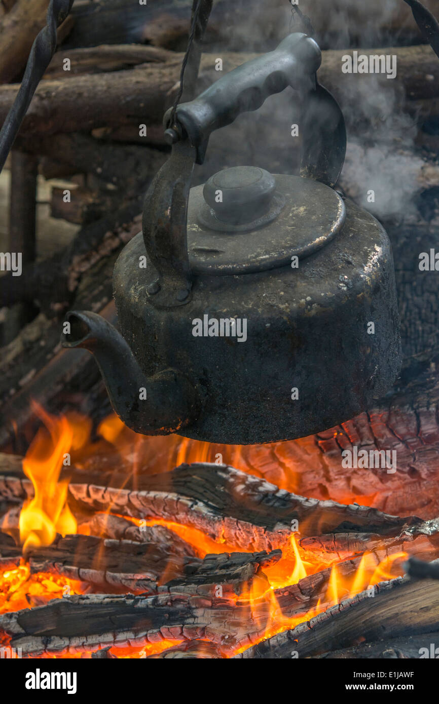 Steaming kettle over wood burning camp fire. Concept bushcraft ...