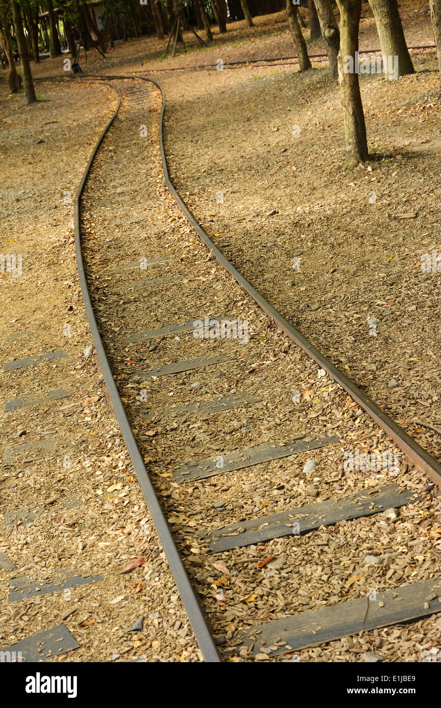 Forest railroad hi-res stock photography and images - Alamy