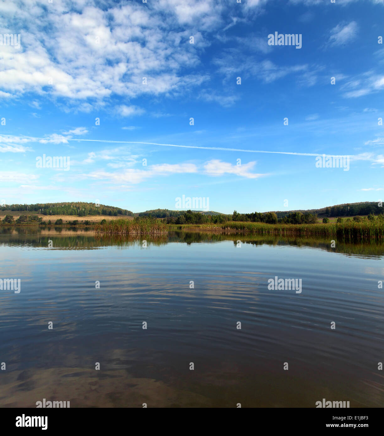 summer lake landscape Stock Photo - Alamy