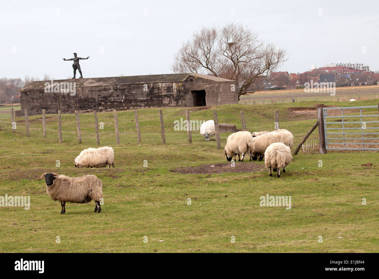 Belgian farmhouse hi-res stock photography and images - Alamy