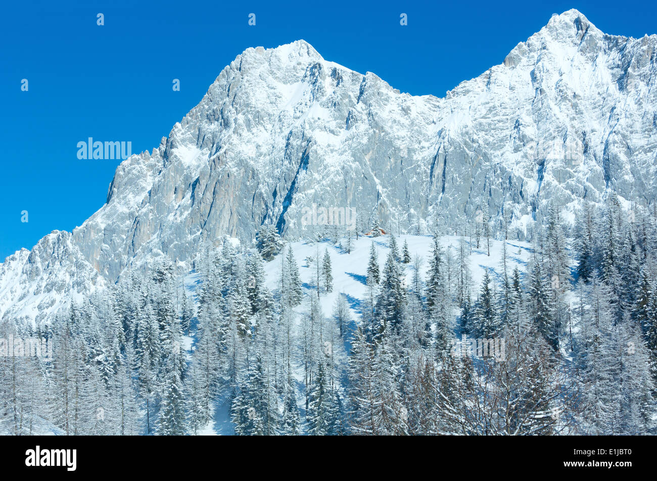 Fresh fallen snow on hi-res stock photography and images - Alamy