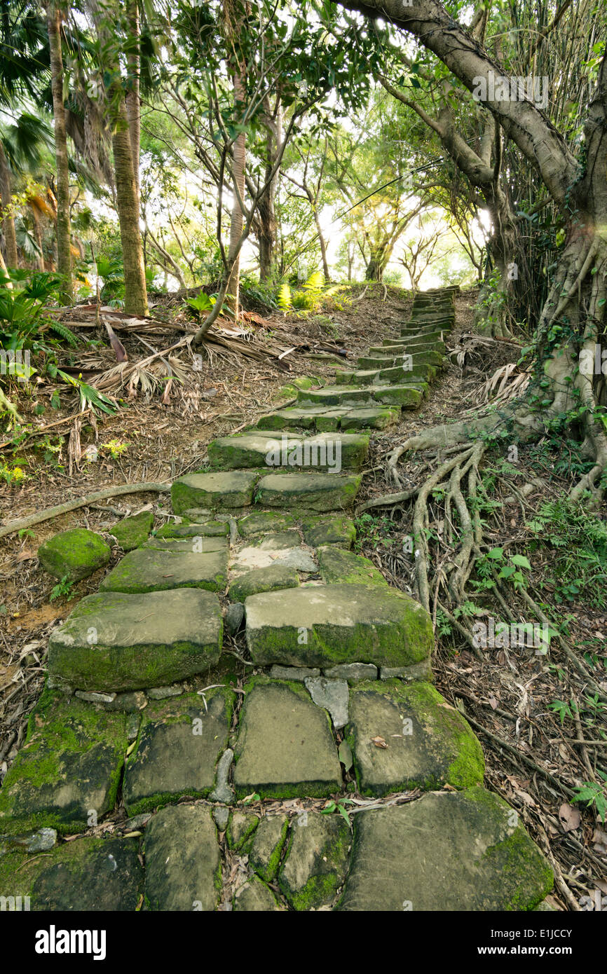 Pathway with stairs hi-res stock photography and images - Alamy
