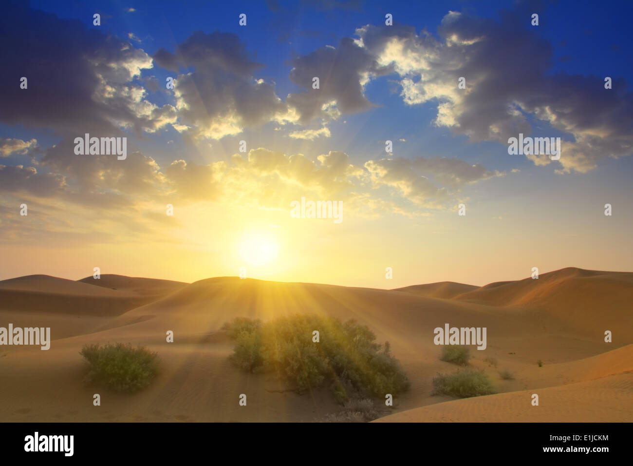 sunrise in desert Stock Photo - Alamy