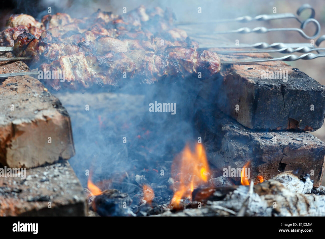 Campfire Cooking Meat