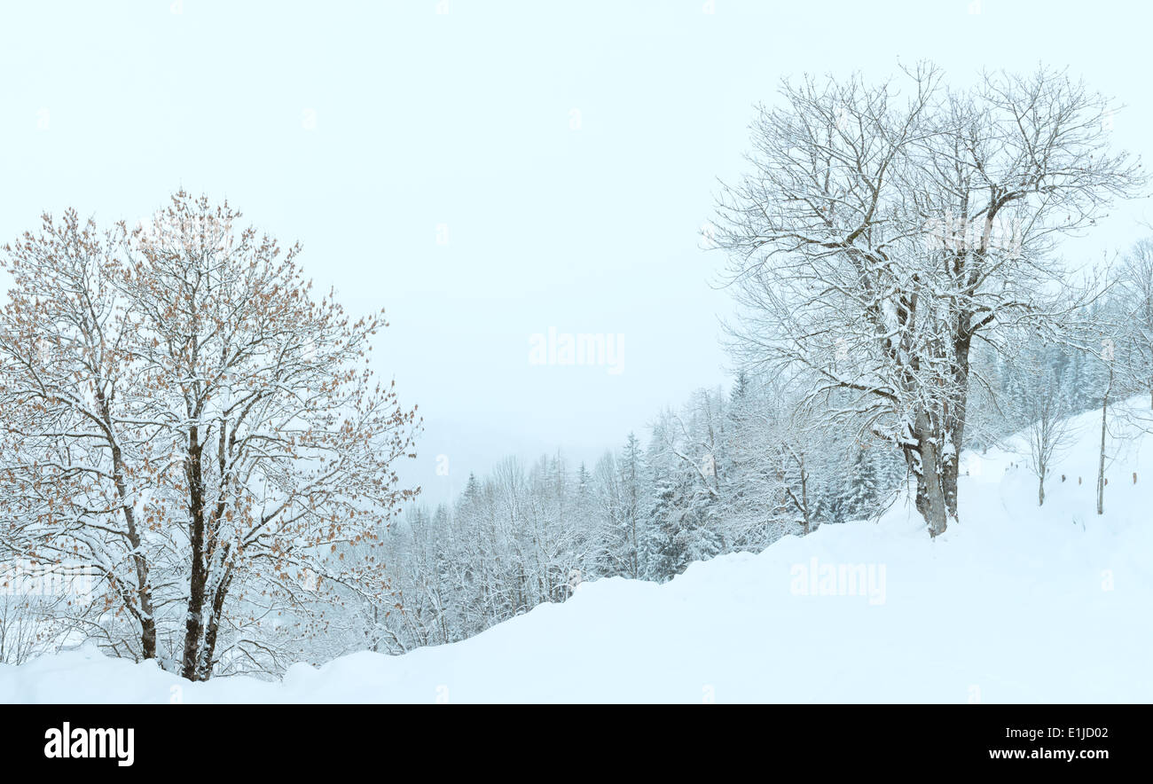 Winter mountain snowfall landscape Stock Photo - Alamy