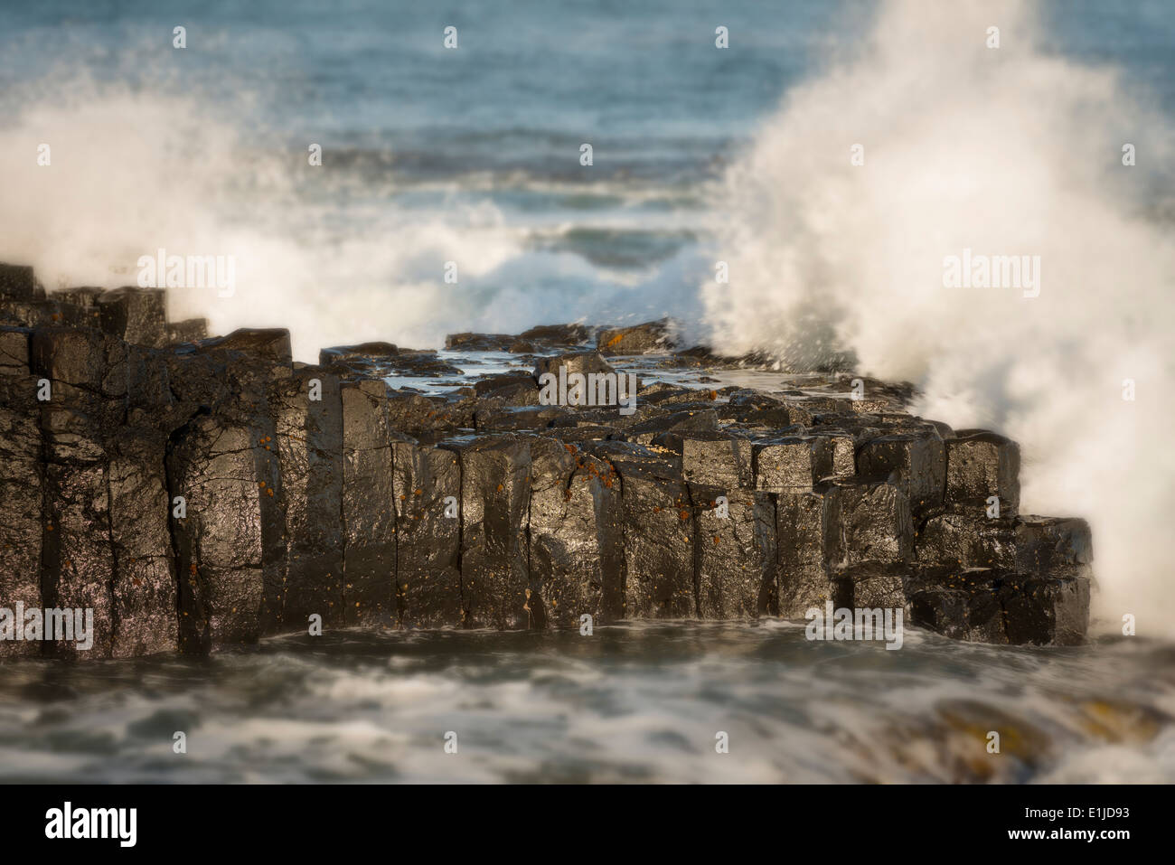 New Zealand, Chatham Island, Basalt rocks at Ohira Bay Stock Photo - Alamy