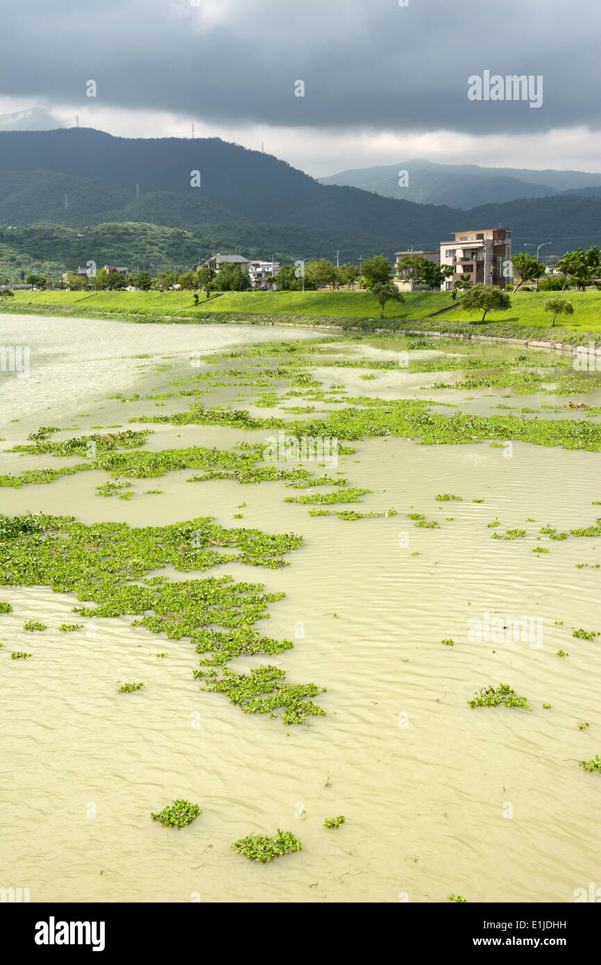 Contaminated polluted river hi-res stock photography and images - Alamy