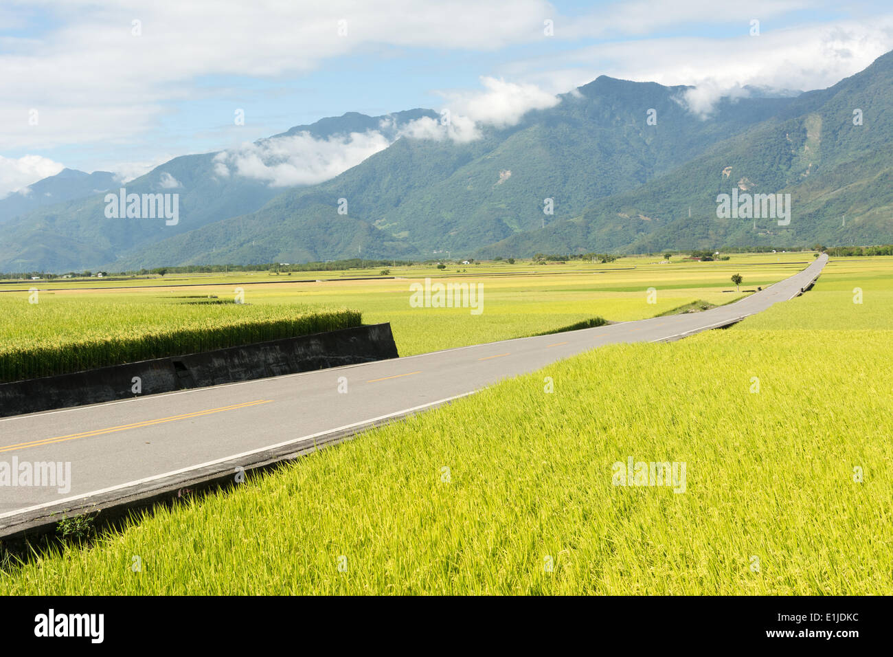 Road in rural Stock Photo - Alamy