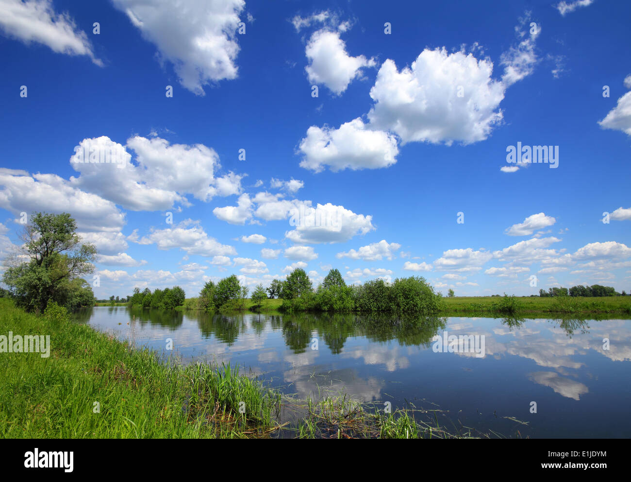 beautiful summer lake landscape Stock Photo - Alamy